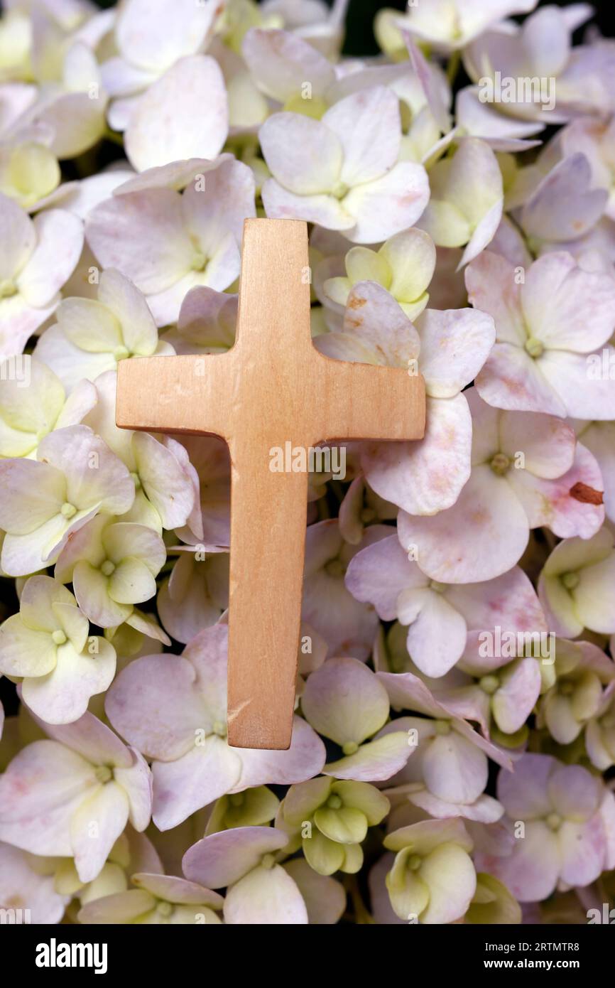 Wooden christian cross on hydrangea flower. Pray in nature Stock Photo ...