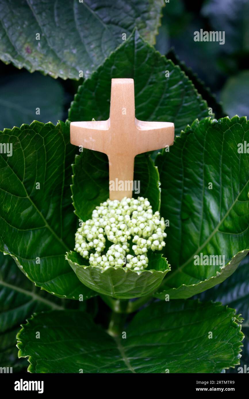 Christian cross on green leaves. Pray in nature. Religious symbol Stock ...