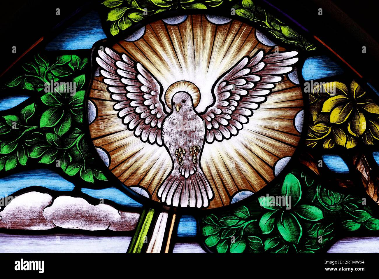 Catholic Religious Symbols Dove