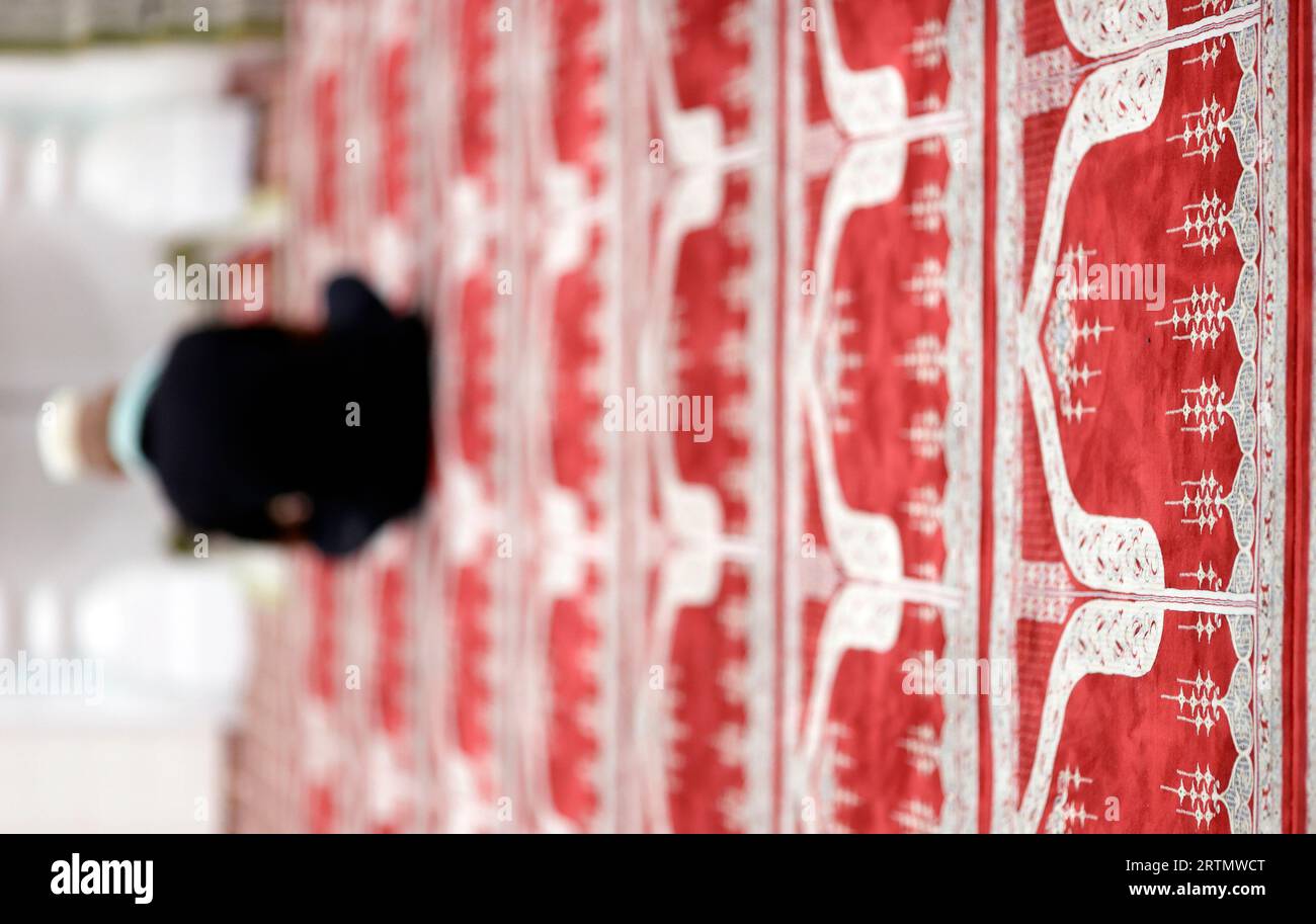 Muslim man praying in a mosque. Prayer hall with green carpet Stock ...