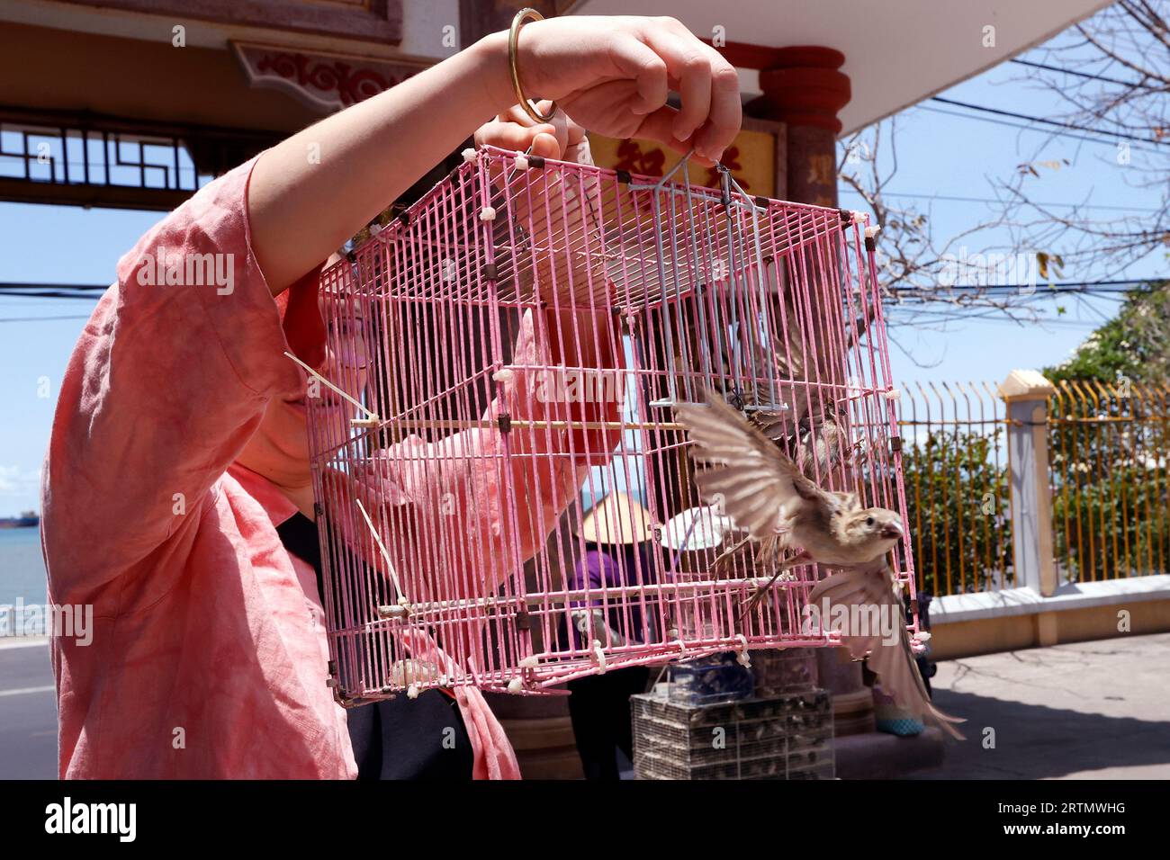 Guan Yin Temple buddhist temple. Releasing birds from cages is a good ...