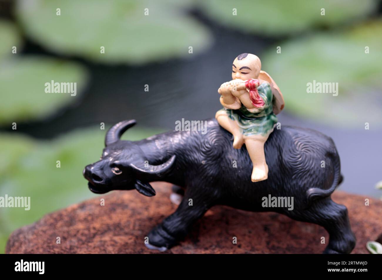 Linh Chieu Zen Monastery. Young buddhist monk on ox. Vung Tau. Vietnam ...