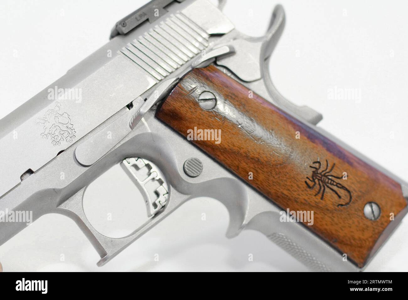 Safari Arms Matchmaster model 911 pistol in cal. 45ACP Stock Photo - Alamy