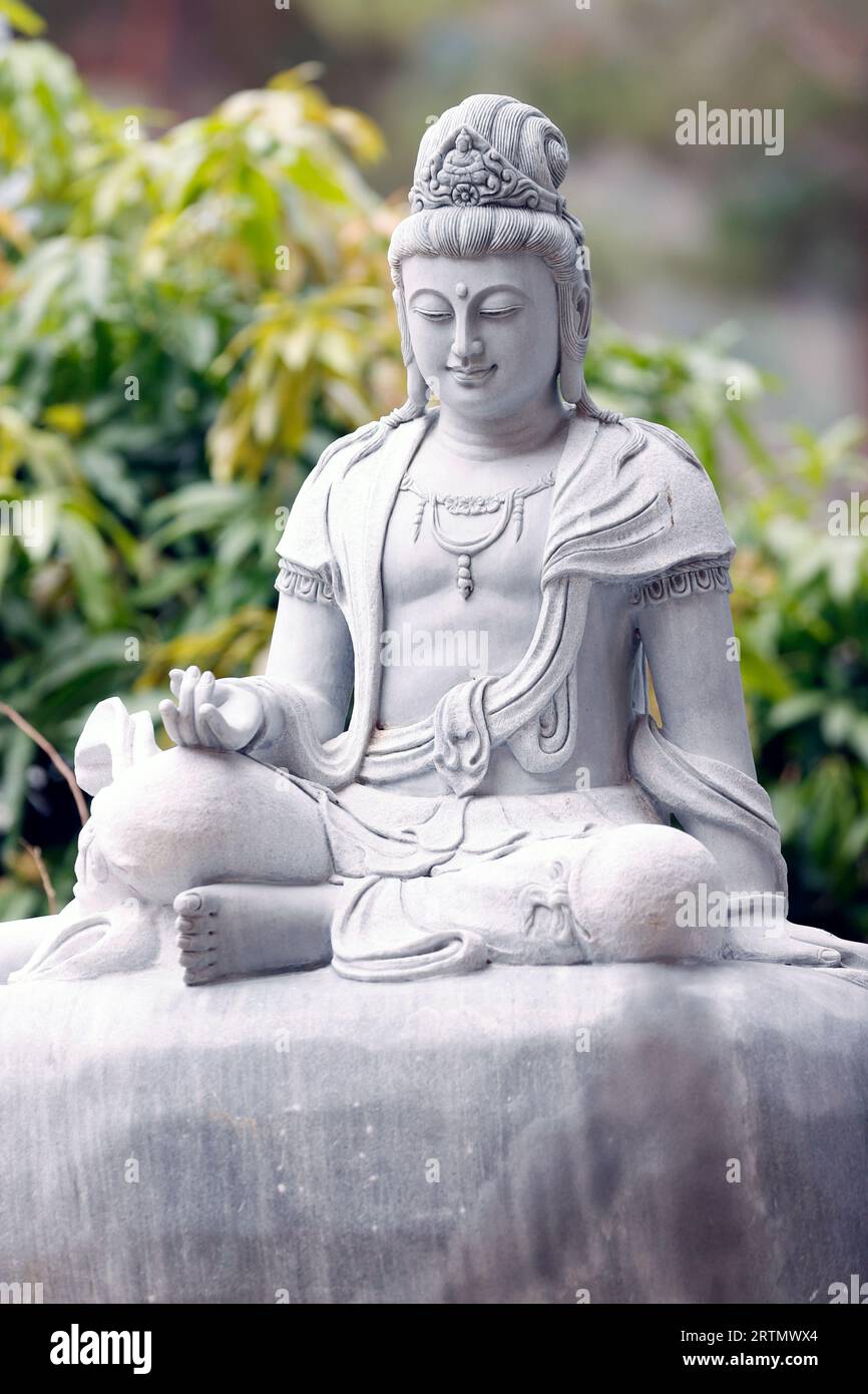 Tinh that quan am pagoda hi-res stock photography and images - Alamy