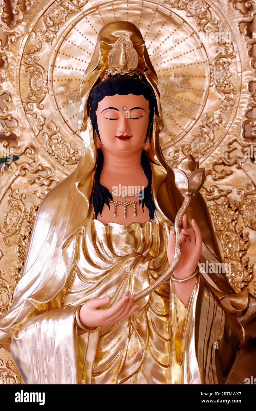 Tinh That Quan Am Pagoda. Bodhisattva Avalokiteshvara. Guanyin ( Quan ...
