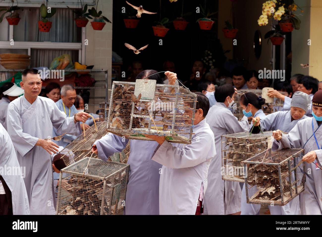 Tinh That Quan Am Pagoda. Buddhist ceremony. Releasing birds from cages ...