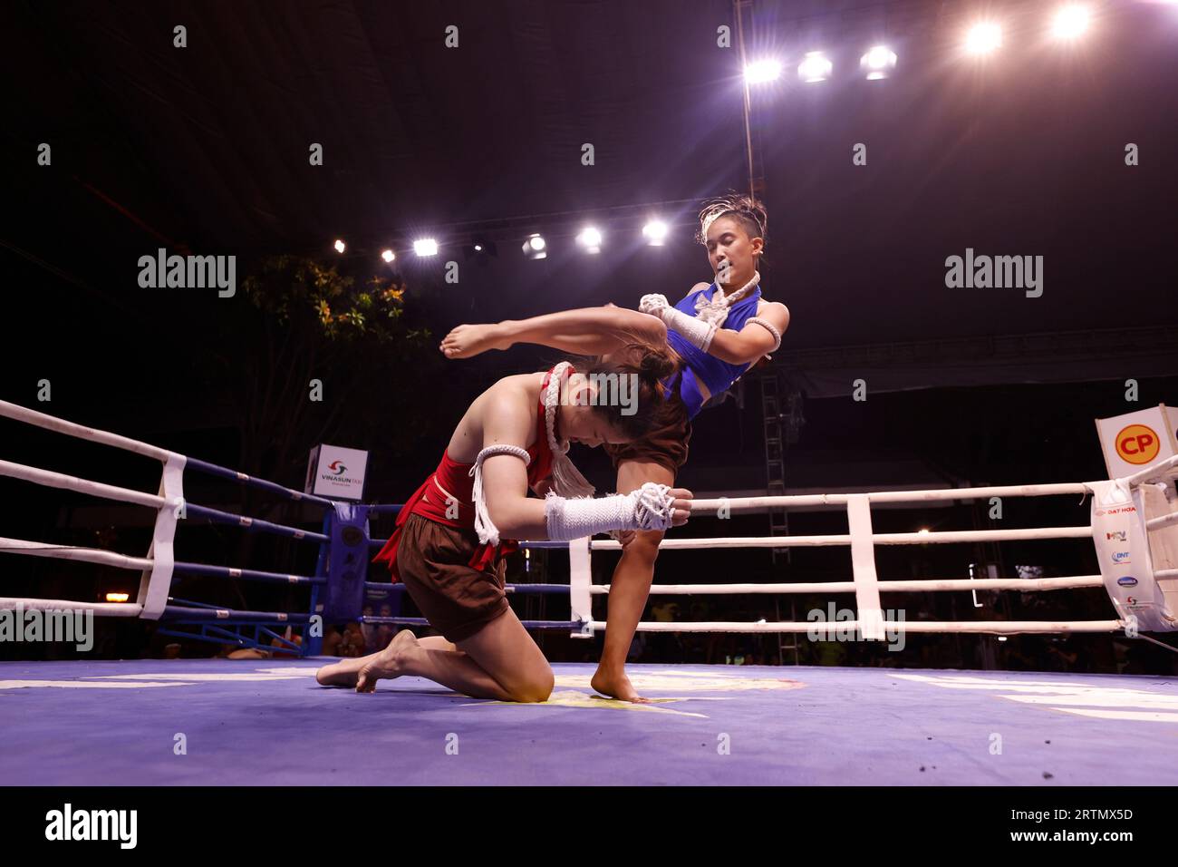 Females Muay Thai boxer. Thai boxing ring. Ho Chi Minh city. Vietnam ...