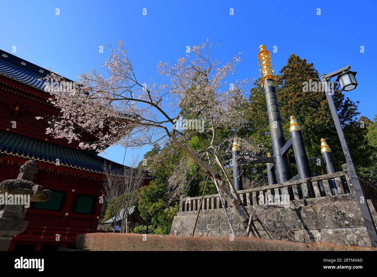 Nikkozan Rinnoji Temple (Buddhist complex with a renowned wooden hall ...