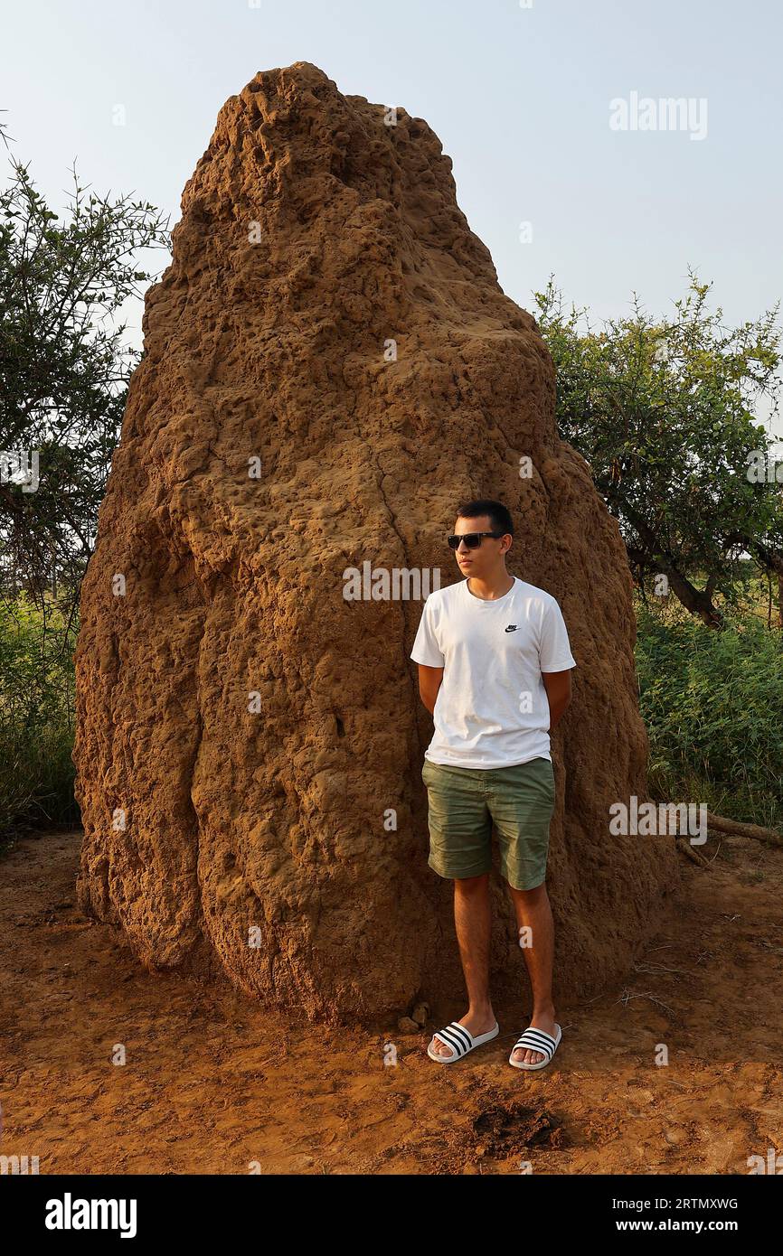 Young man standing beside a huge termite mound in Senegal Stock Photo ...