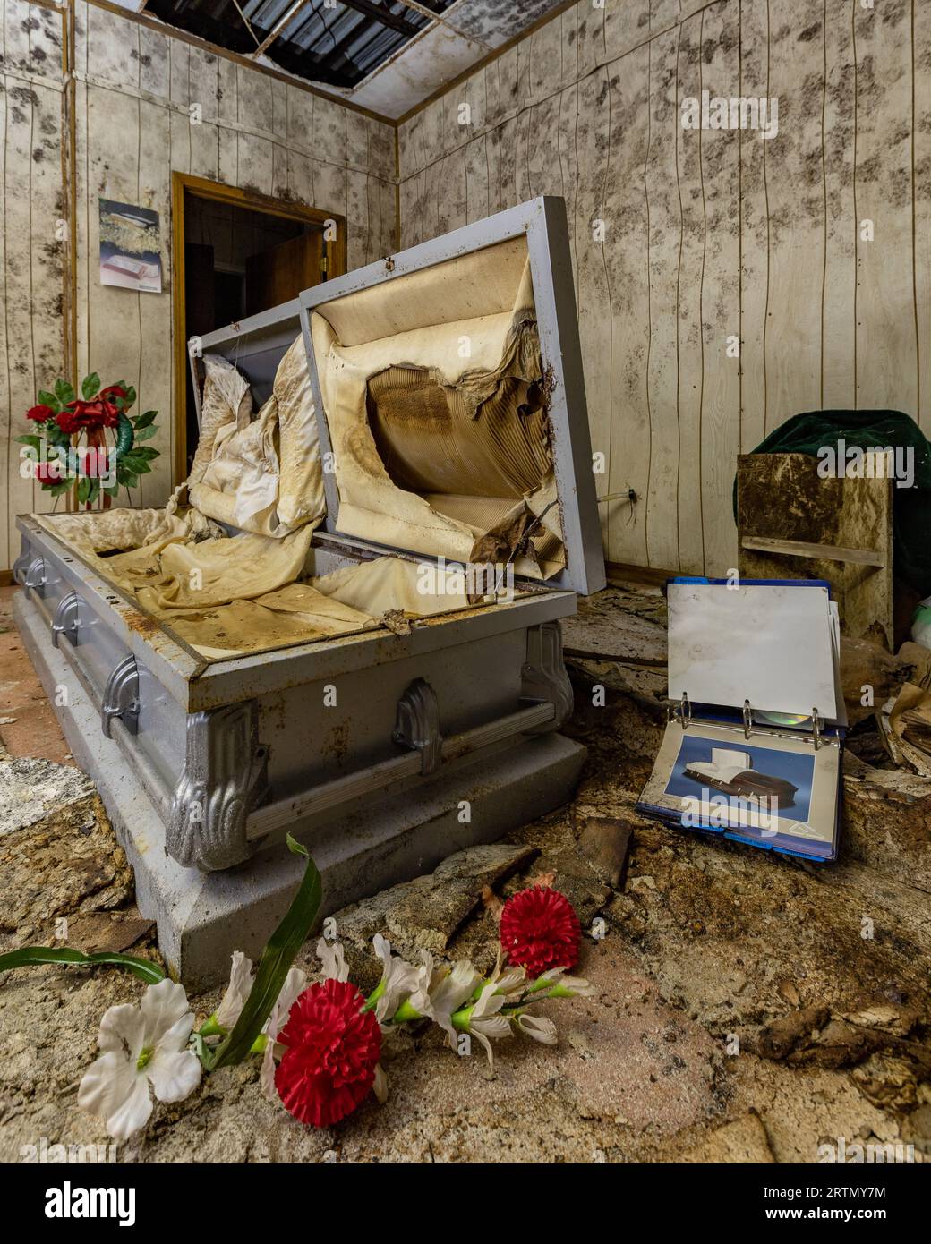 Open bodies hi-res stock photography and images - Alamy