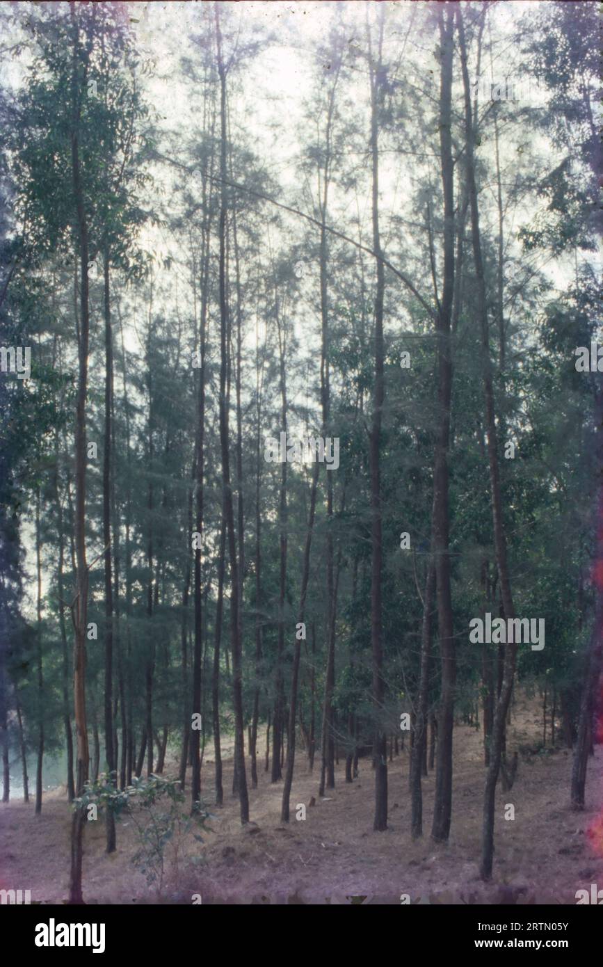 Jawhar maharashtra hi-res stock photography and images - Alamy