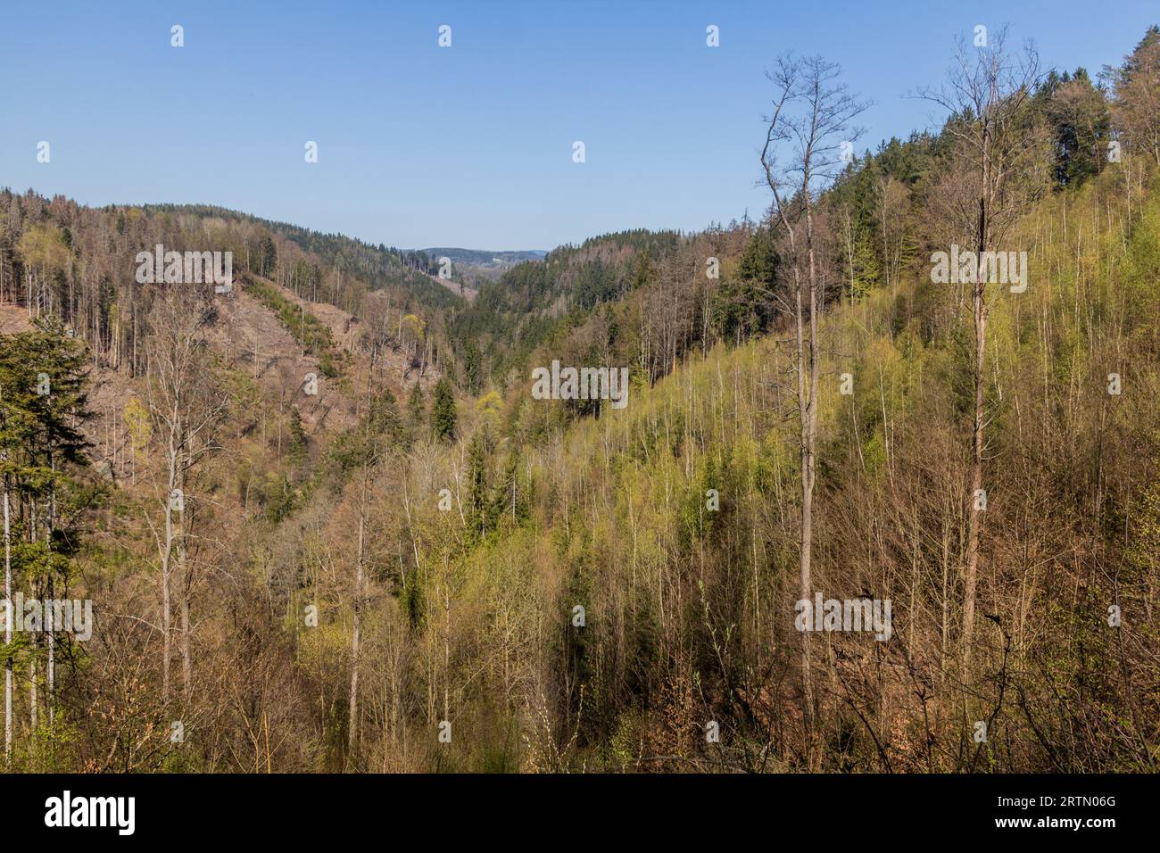 Jizera river hi-res stock photography and images - Alamy