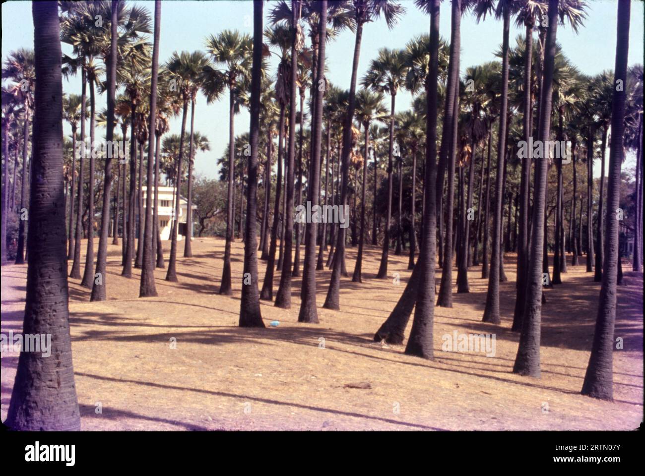 Ubhrat hi-res stock photography and images - Alamy