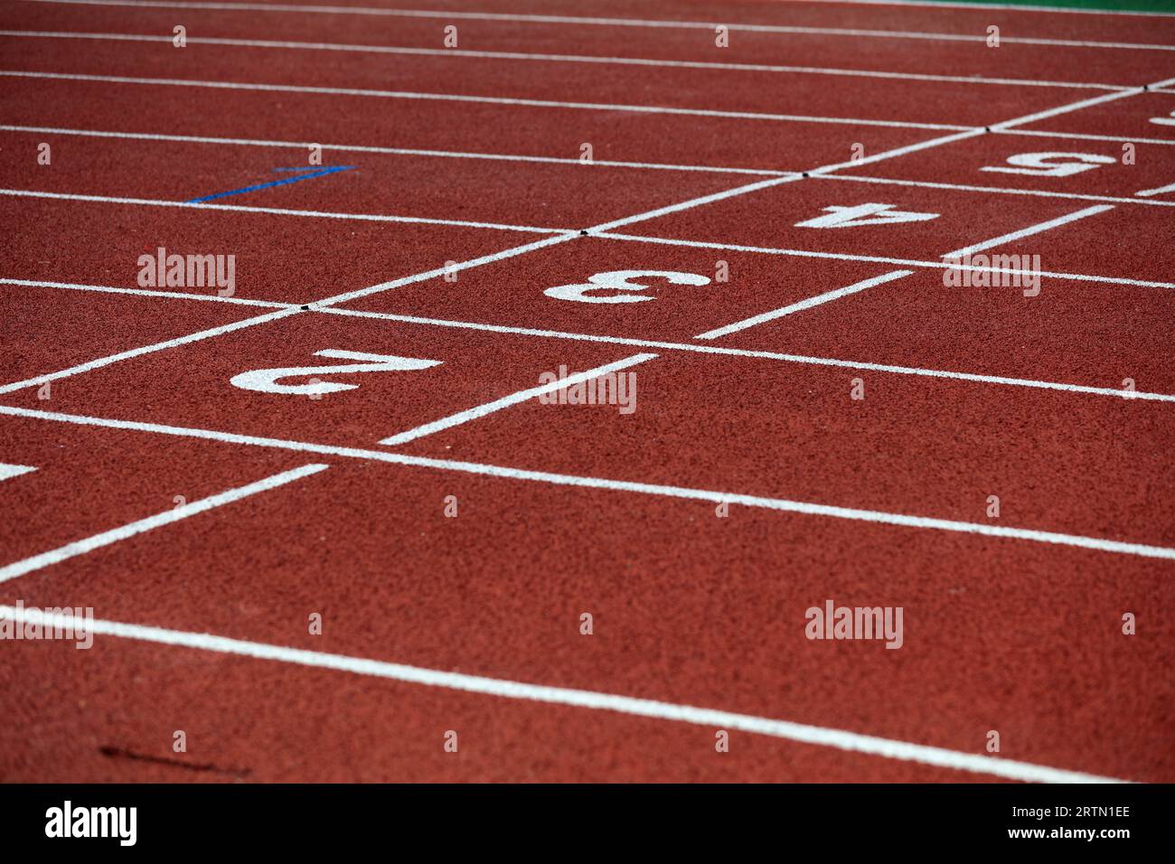 Plastic runways hi-res stock photography and images - Alamy