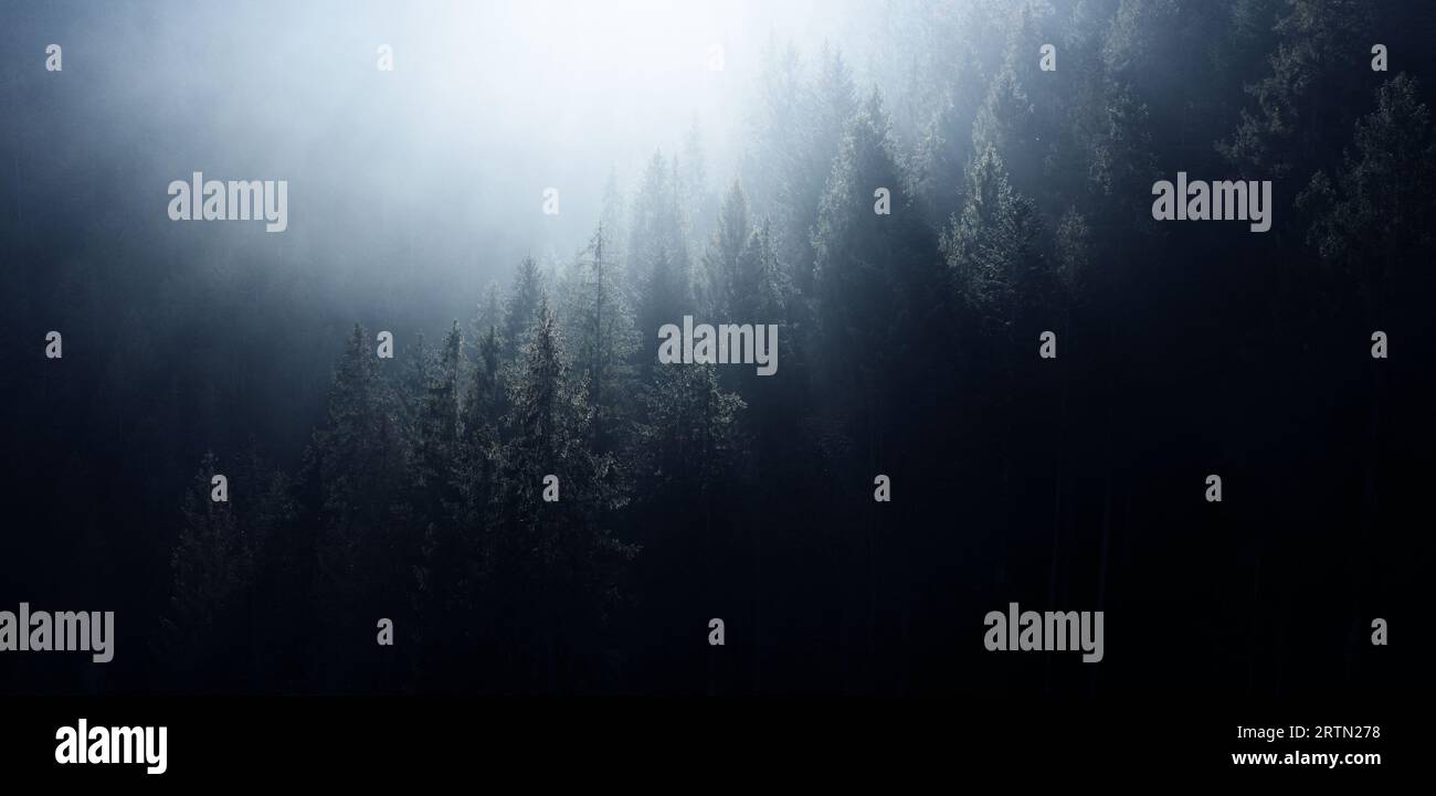Moonlit village scene hi-res stock photography and images - Alamy