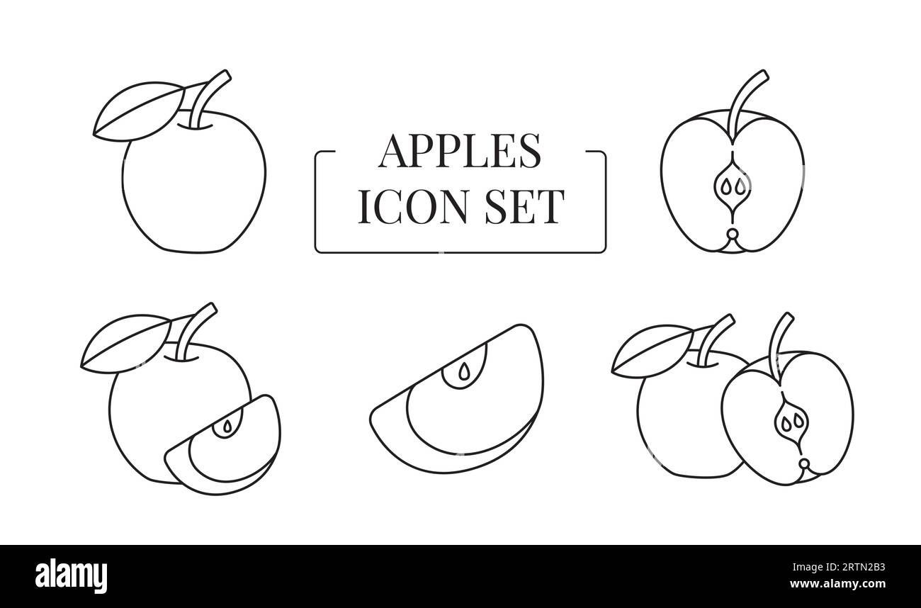 Whole and cut apple set of line icons in vector Stock Vector Image ...
