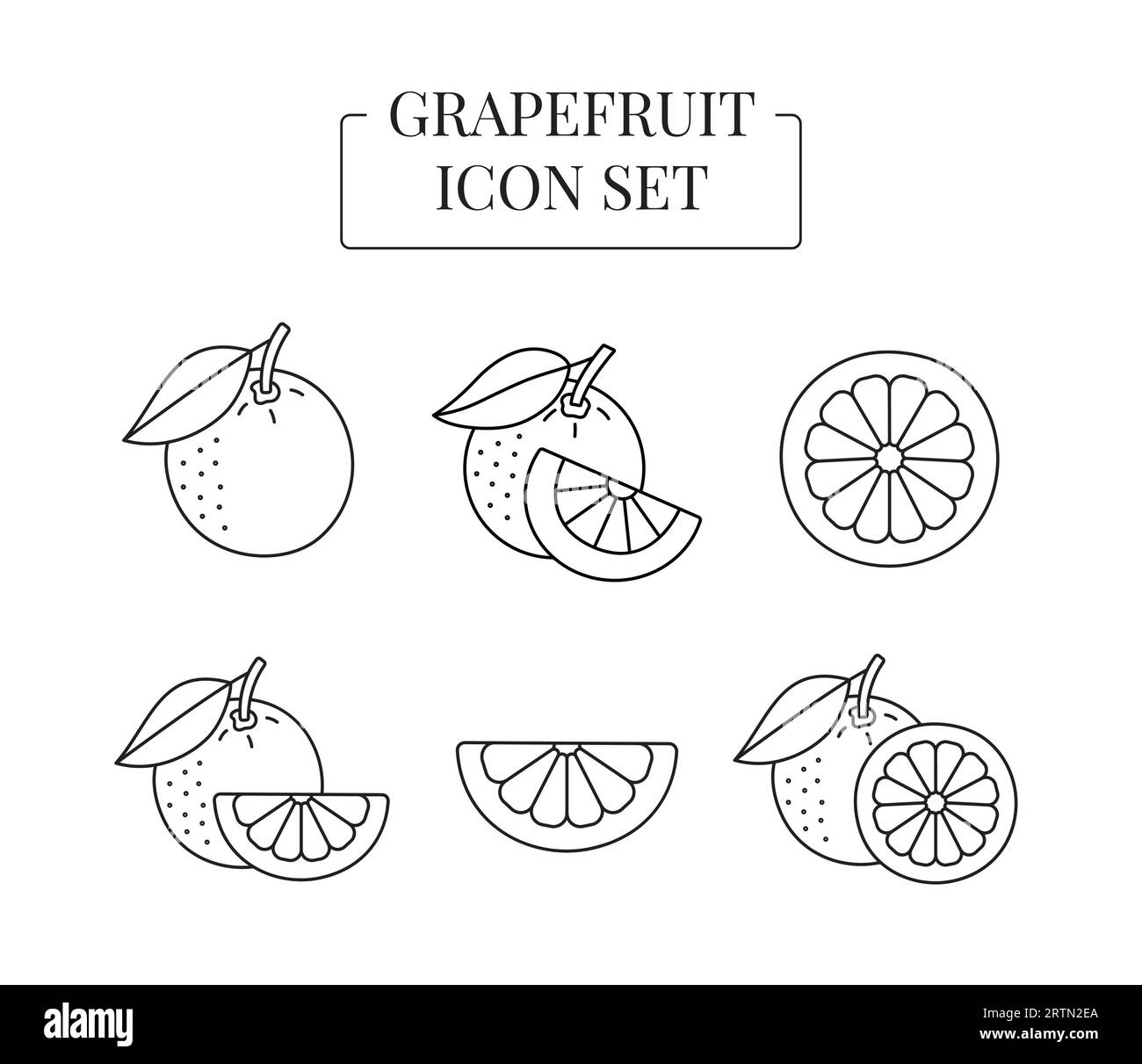 Fruit Grapefruit whole and half, cut into slices, set of line icons in ...