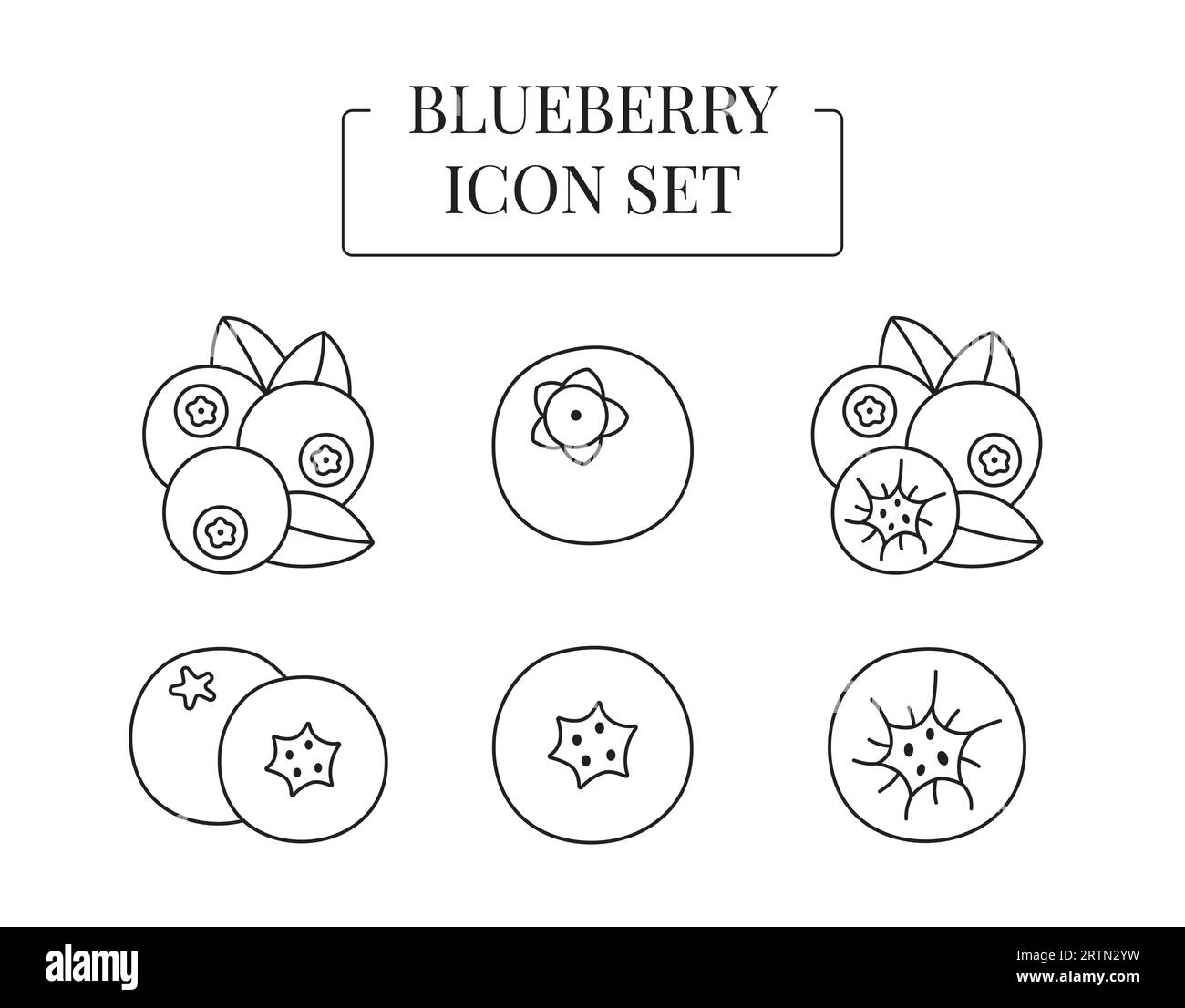 Blueberry whole and half, cut into slices, set of line icons in vector ...