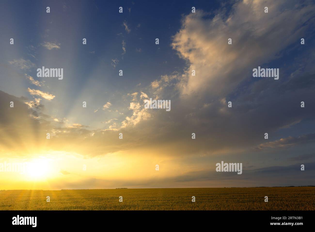 Dawns palette hi-res stock photography and images - Alamy