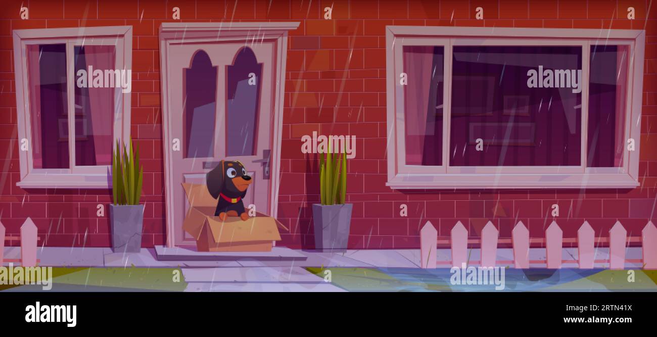 Homeless wet dog sitting in cardboard box on house porch in rainy ...