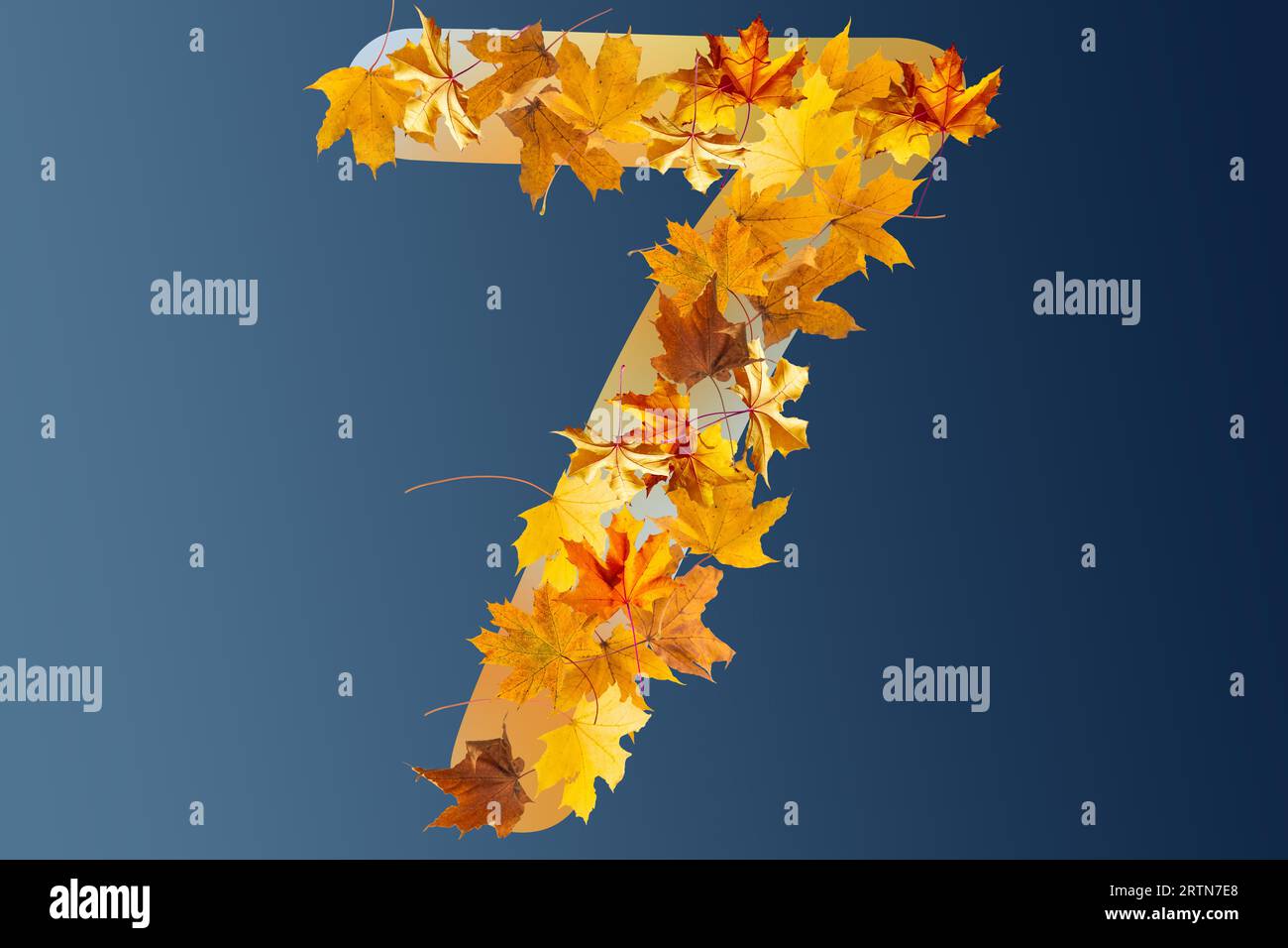 Number 7 of colorful autumn leaves. Cardinal number seven mades of fall ...