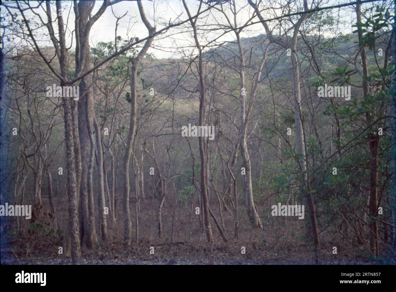 Girnar mountains hi-res stock photography and images - Alamy