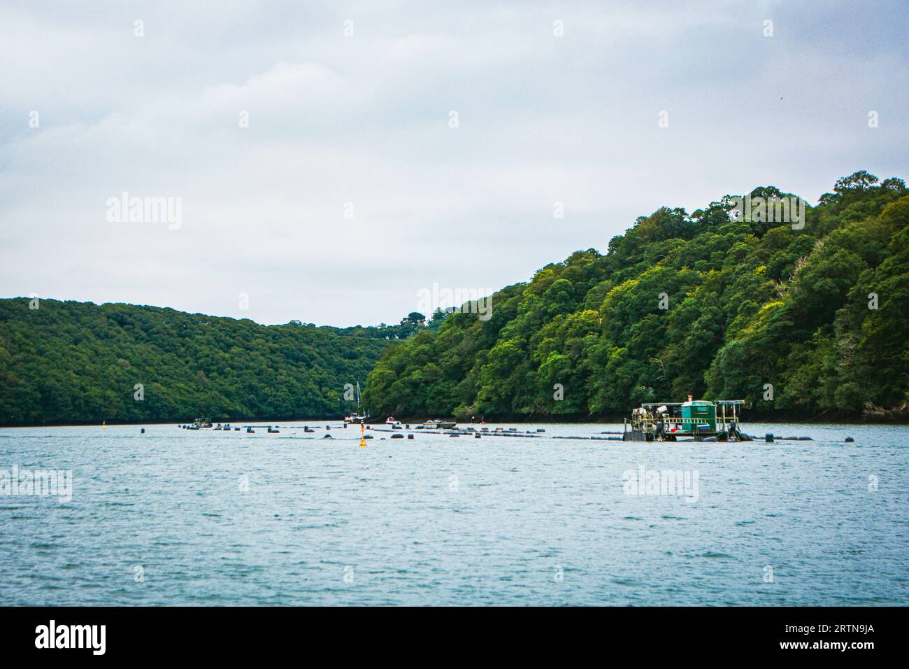River Fal, Cornwall, UK - August 2023: The King Harry Ferry Bridge ...
