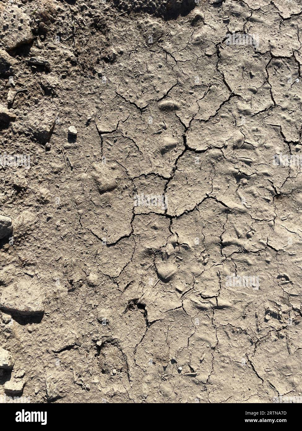 Dried mud, drought conditions, Scotland Stock Photo - Alamy