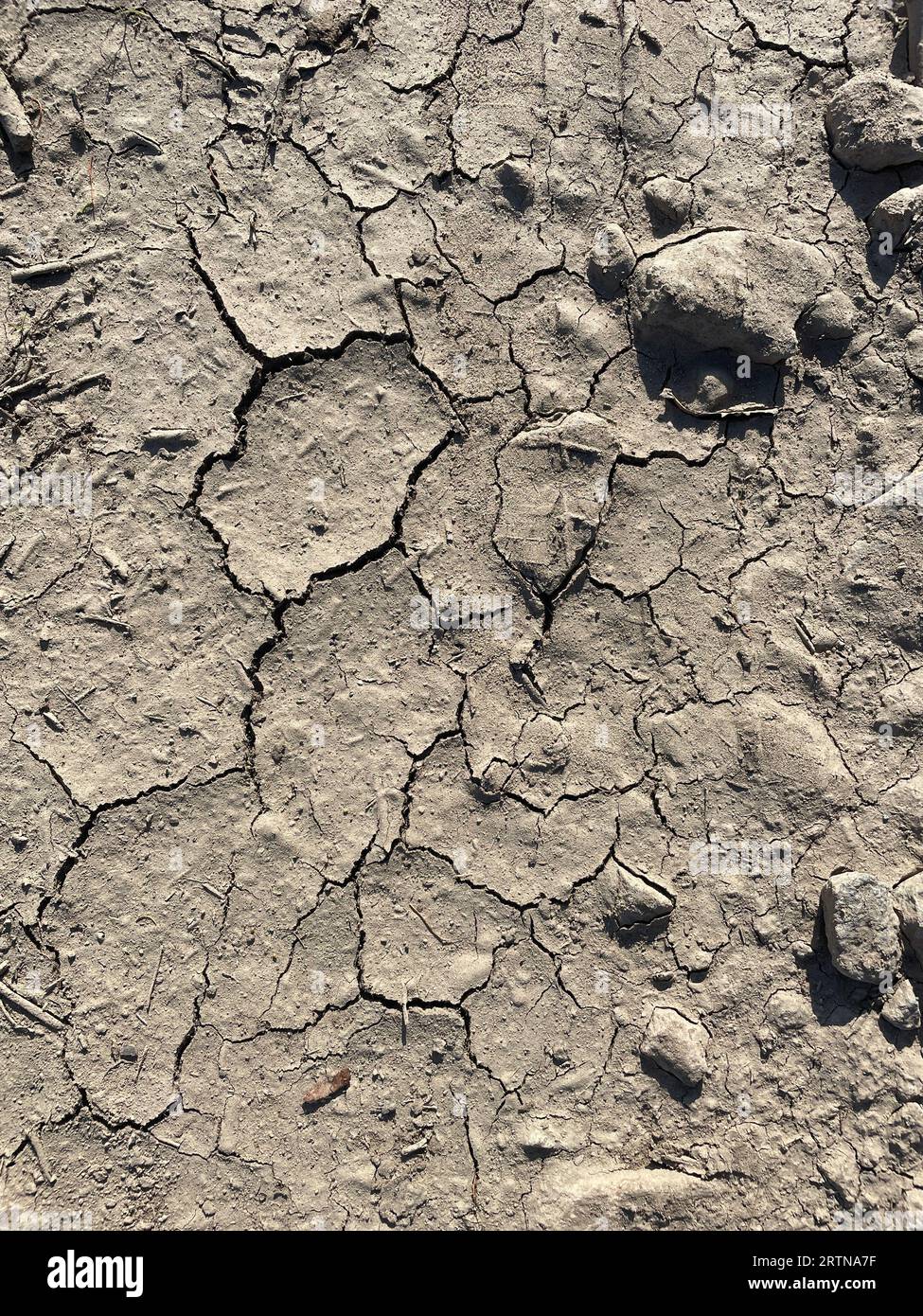 Dried mud, drought conditions, Scotland Stock Photo - Alamy