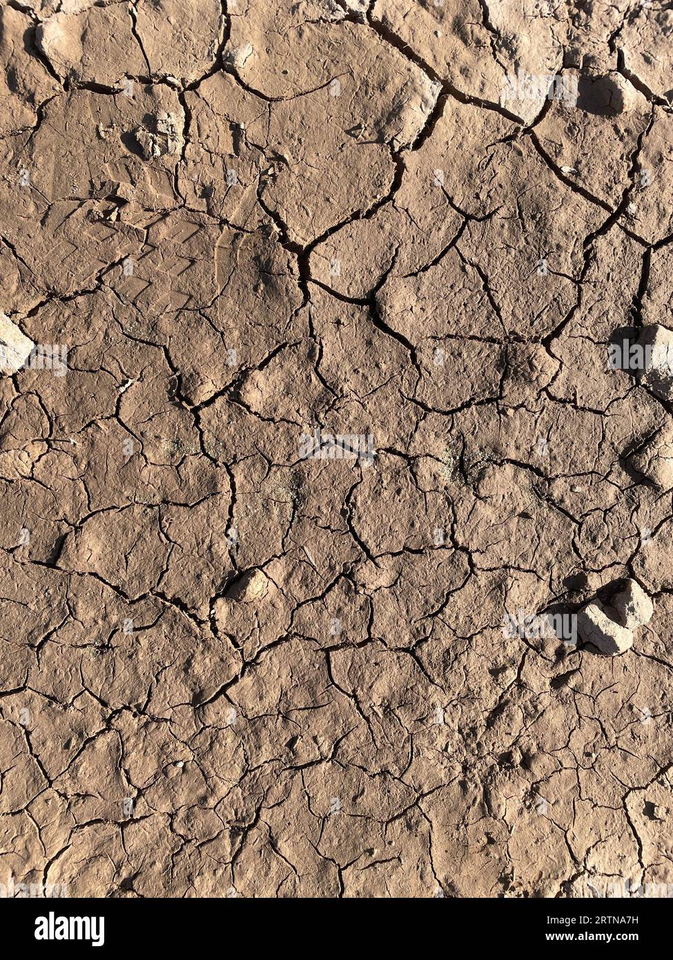 Dried mud, drought conditions, Scotland Stock Photo - Alamy