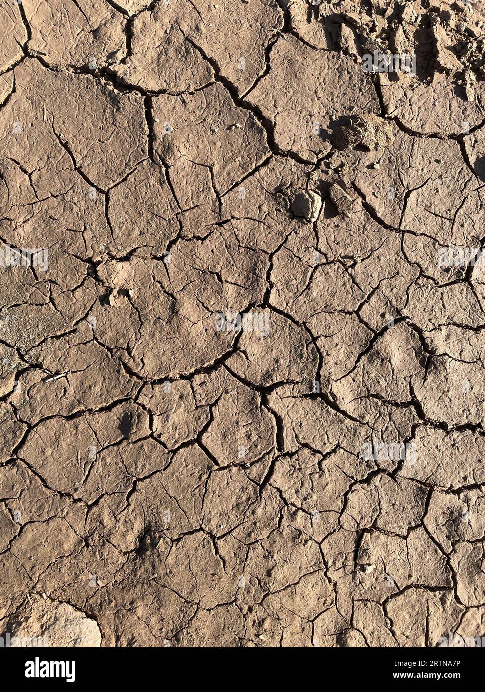 Dried mud, drought conditions, Scotland Stock Photo - Alamy