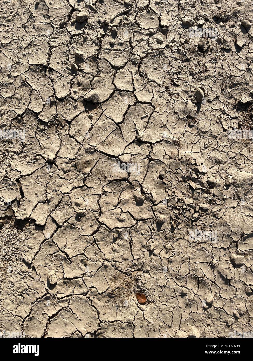 Drought images hi-res stock photography and images - Alamy