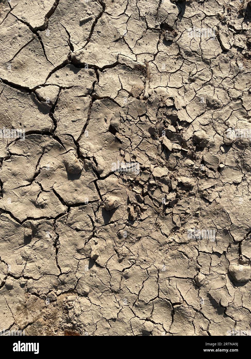 Dried mud, drought conditions, Scotland Stock Photo - Alamy