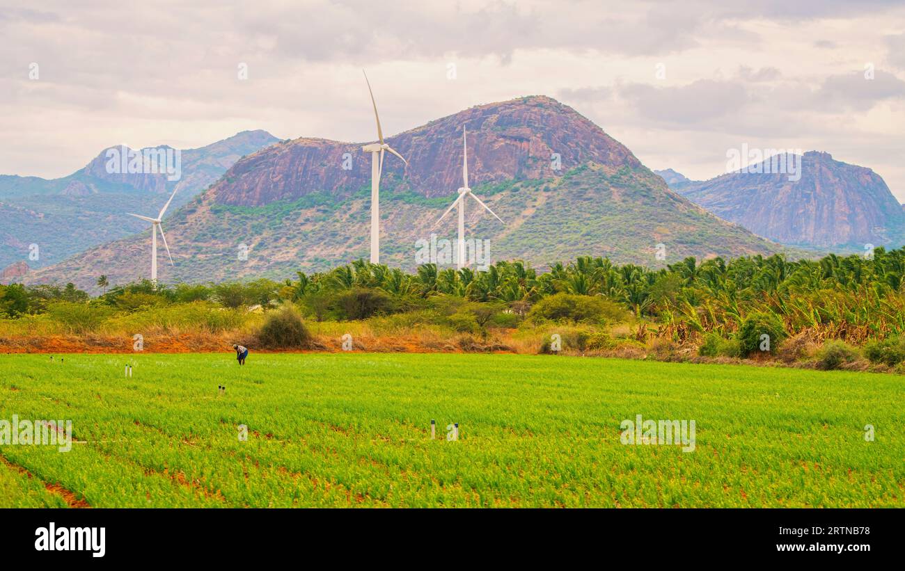 Windmill - Wind turbine below the mountain on the agriculture land ...