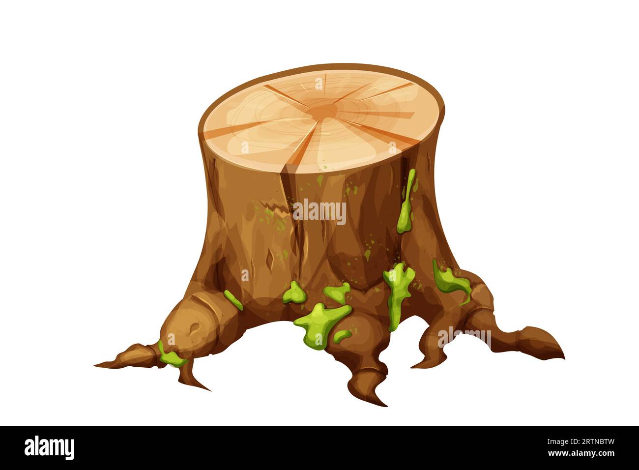 Wooden old stump forest tree trunk with roots, moss cut section in ...