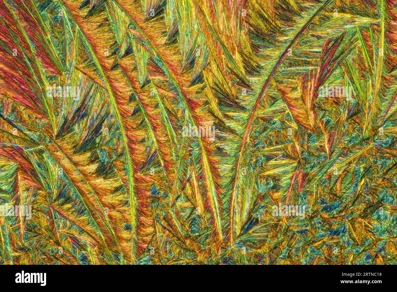 Salicylic acid under microscope hi-res stock photography and images - Alamy