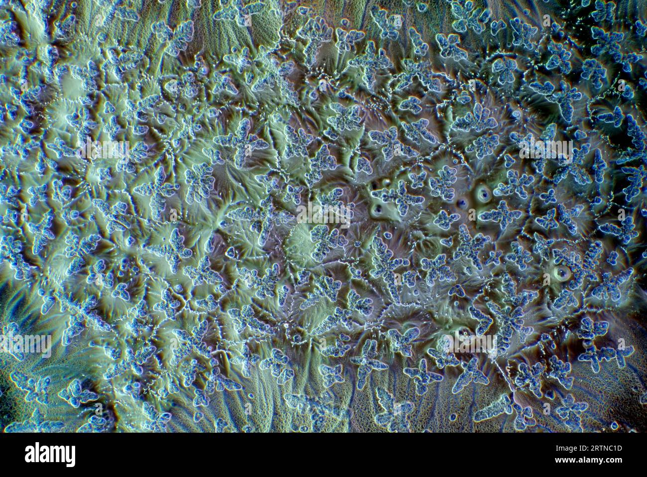 The image presents crystallized soy sauce, photographed through the ...