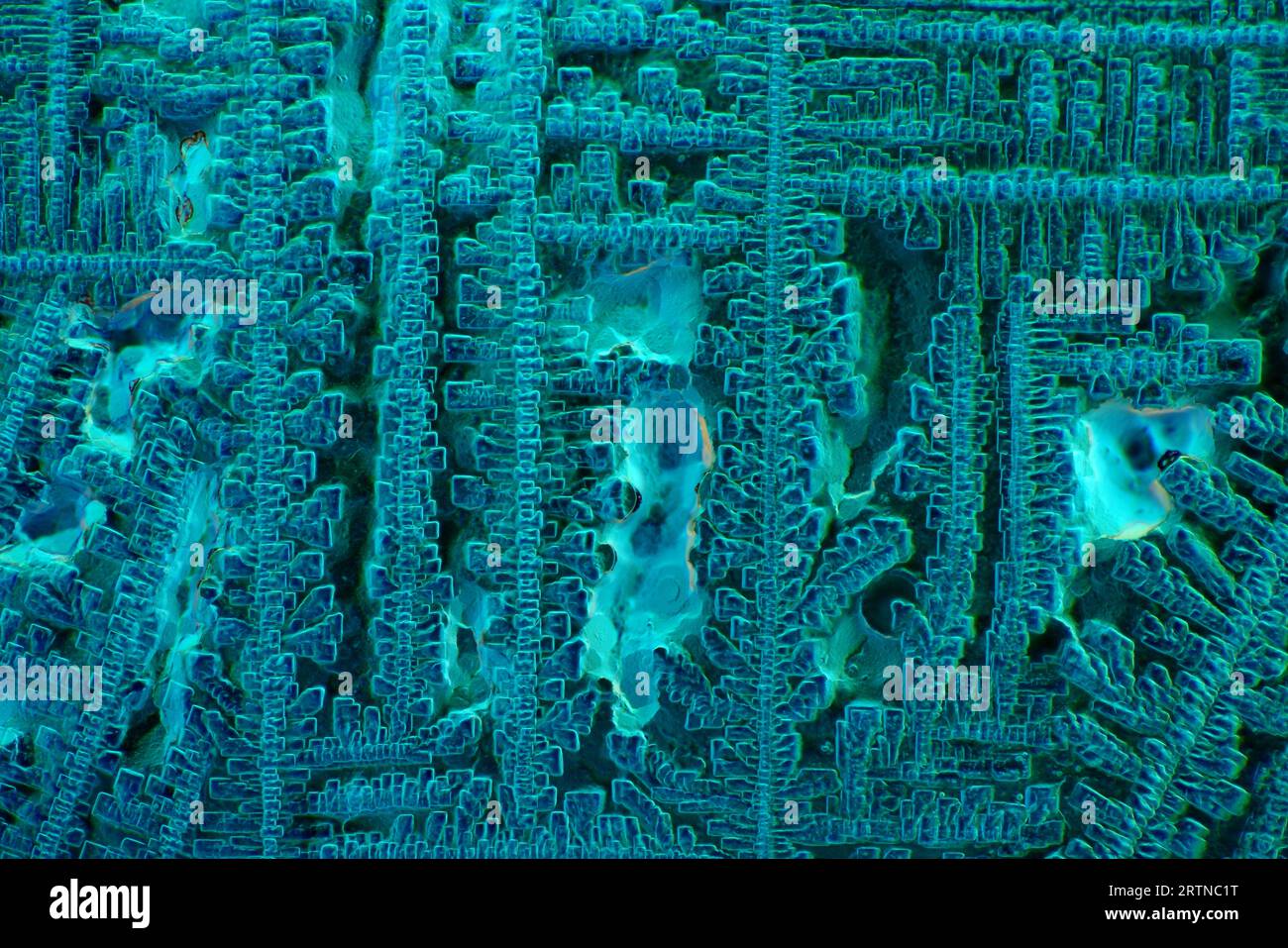 The image presents crystallized soy sauce, photographed through the ...