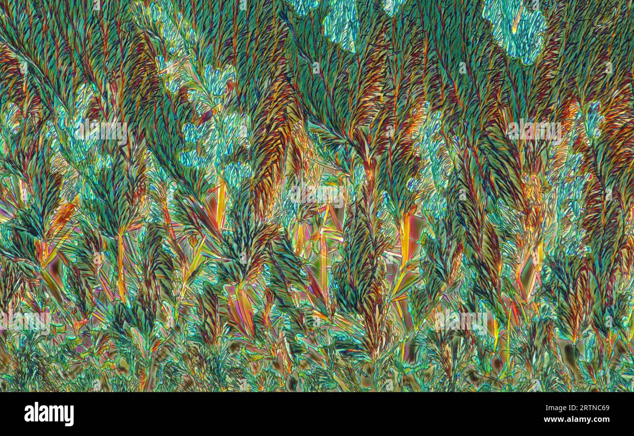 Salicylic acid under microscope hi-res stock photography and images - Alamy