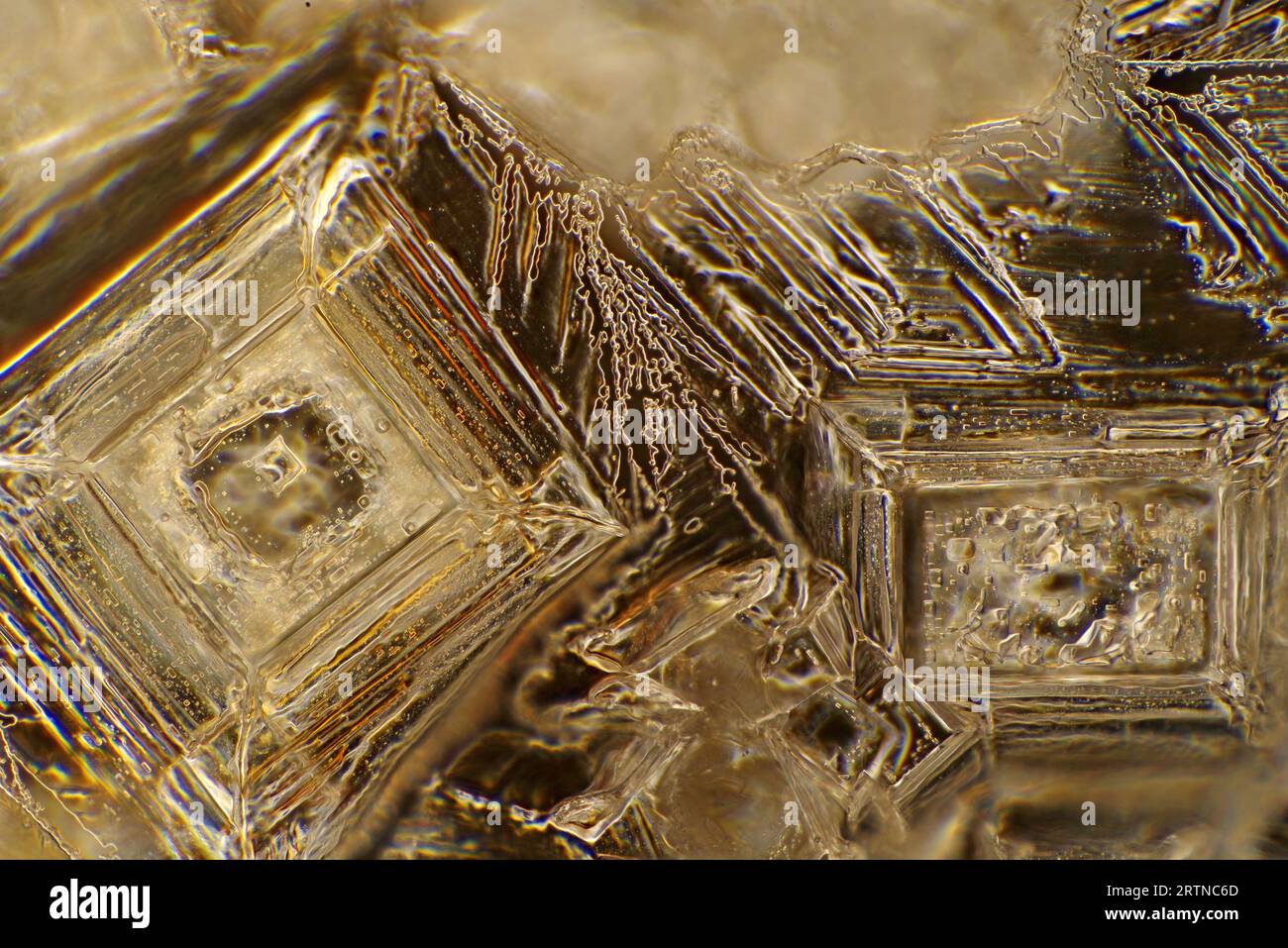 The image presents crystals of recrystallized kitchen salt ...