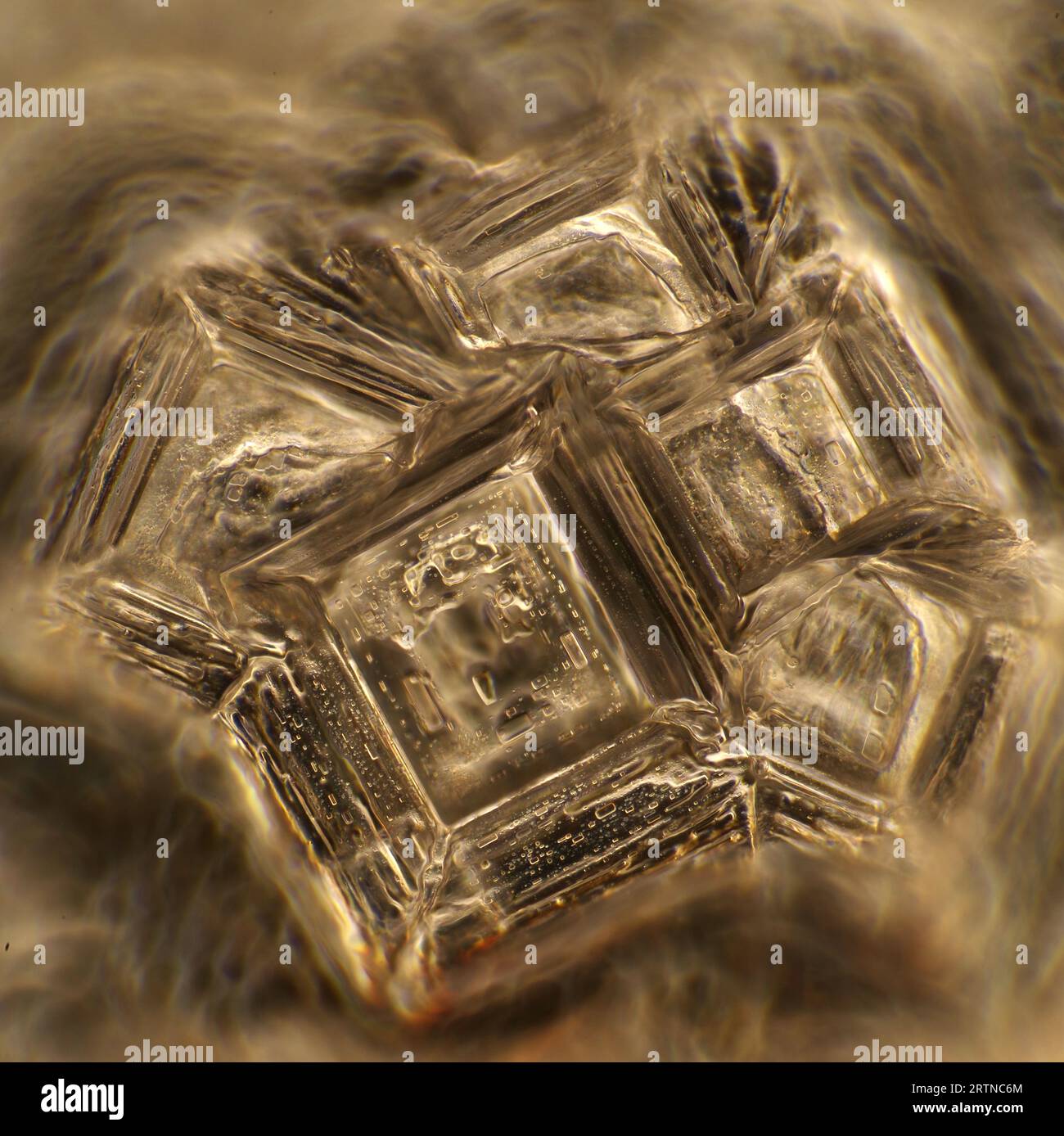 The image presents crystals of recrystallized kitchen salt ...