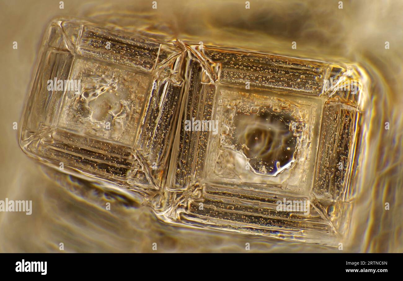The image presents crystals of recrystallized kitchen salt ...