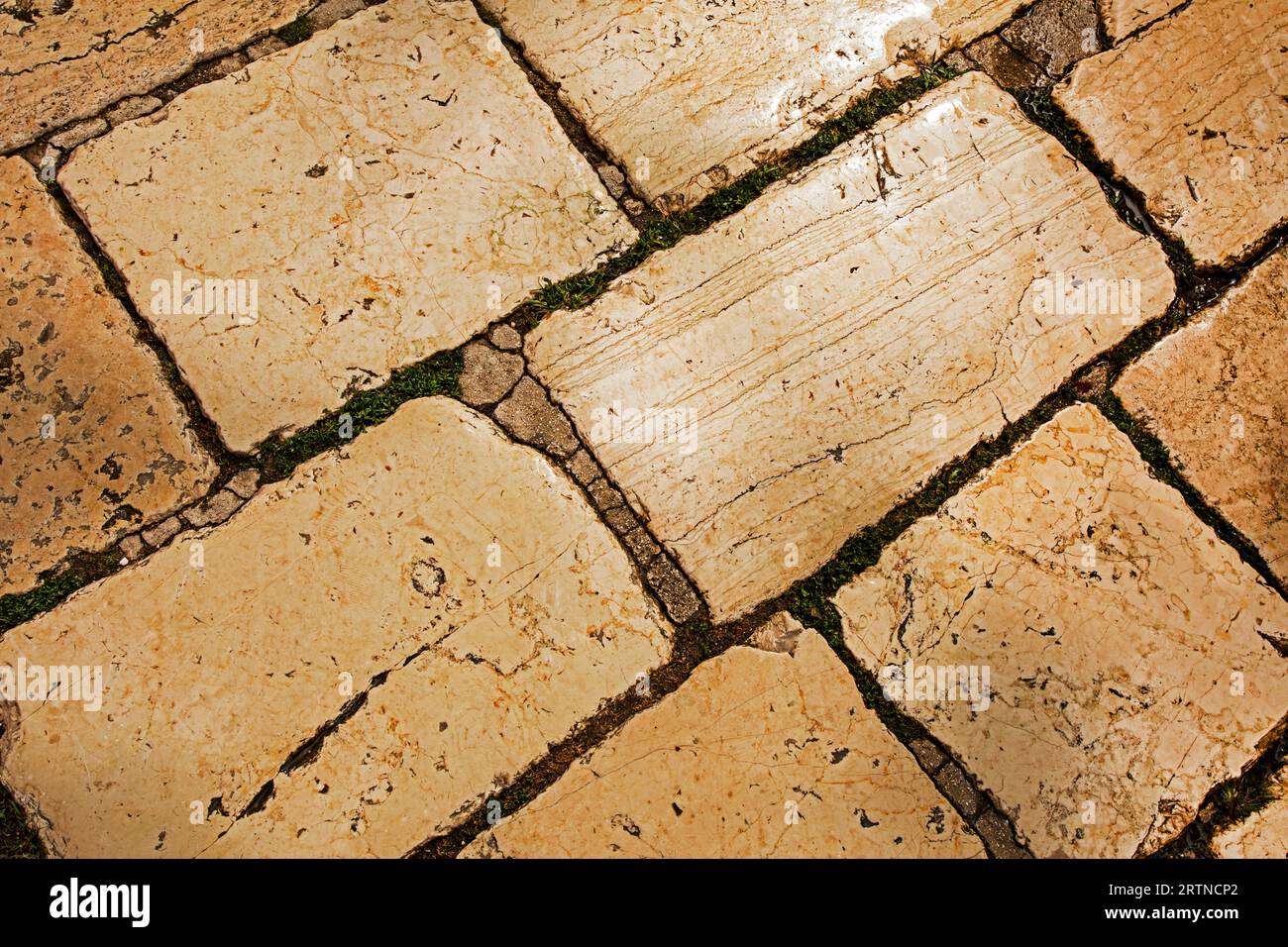 modern marble stone on garden paths. Landscape design Stock Photo - Alamy