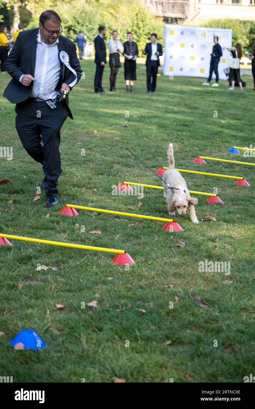 London, UK. 14th Sep, 2023. Westminster Dog of the Year 2023 show open ...