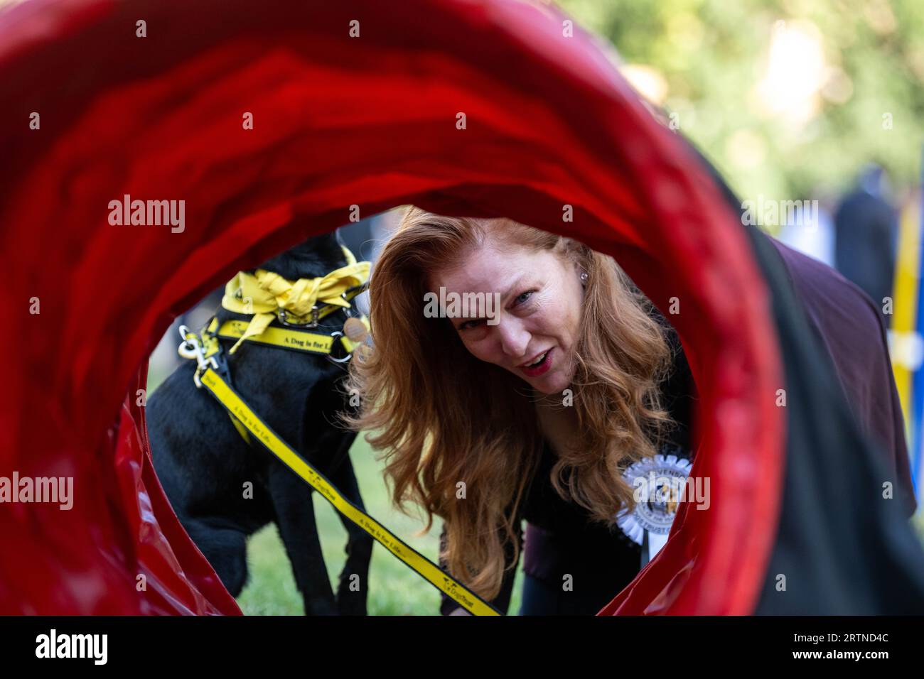 Jane stevenson mp hi-res stock photography and images - Alamy