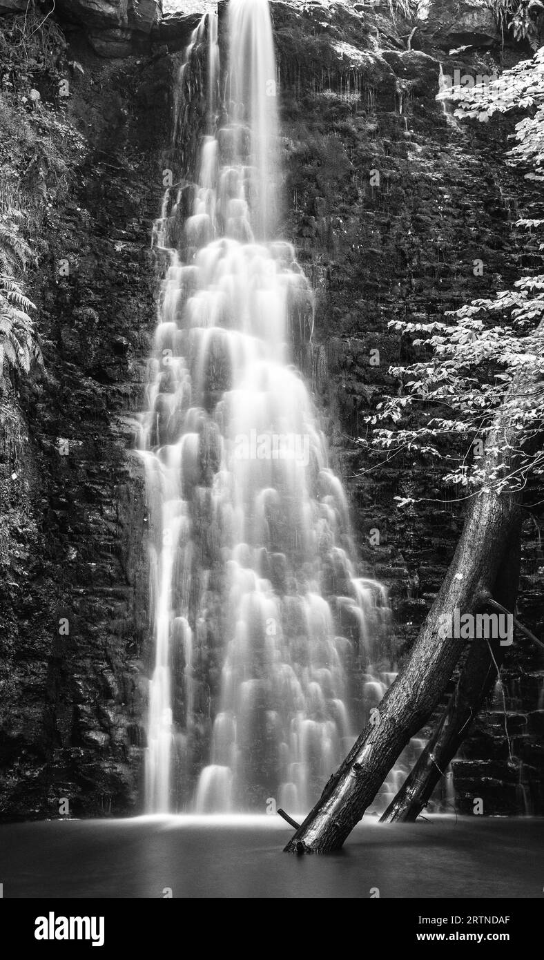 Whitbey, North Yorkshire, UK Stock Photo - Alamy