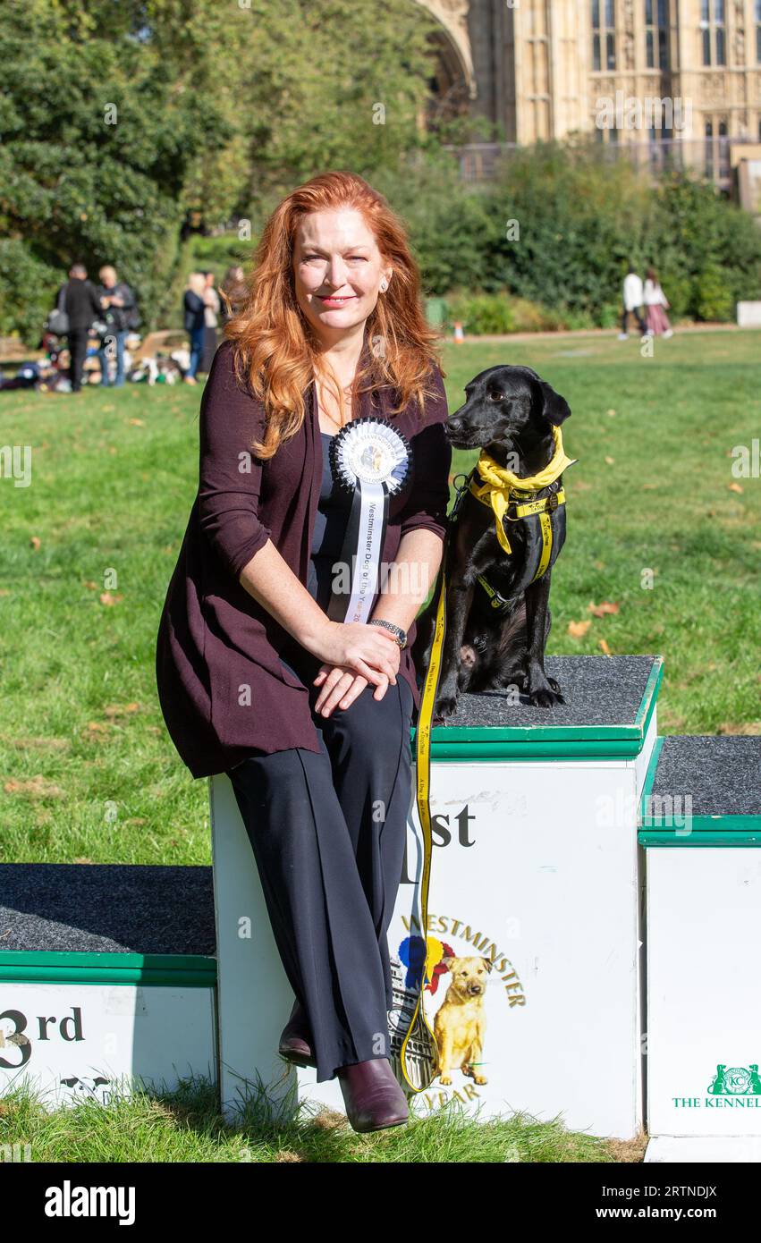 London, uk,14th, sep, 2023 Westminster Dog of the year 2023 run by The Kennel Club and dogs ...
