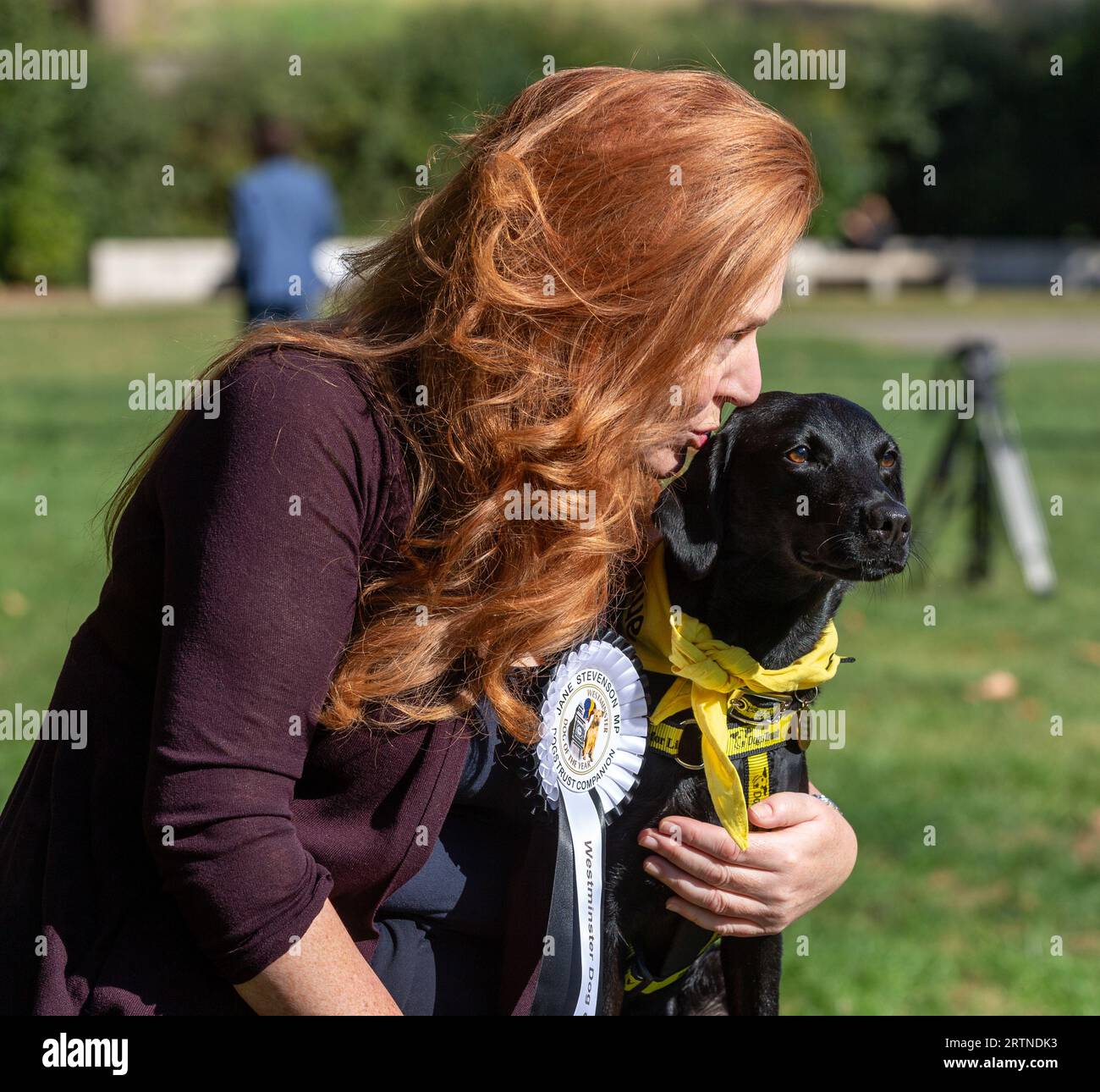 London, uk,14th, sep, 2023 Westminster Dog of the year 2023 run by The Kennel Club and dogs ...
