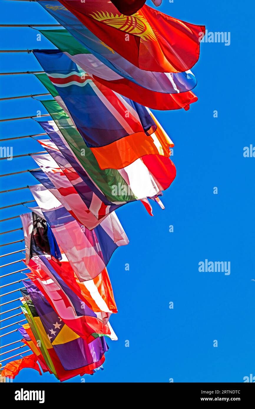 flags of different countries of Europe, Asia and the USA flutter in the ...