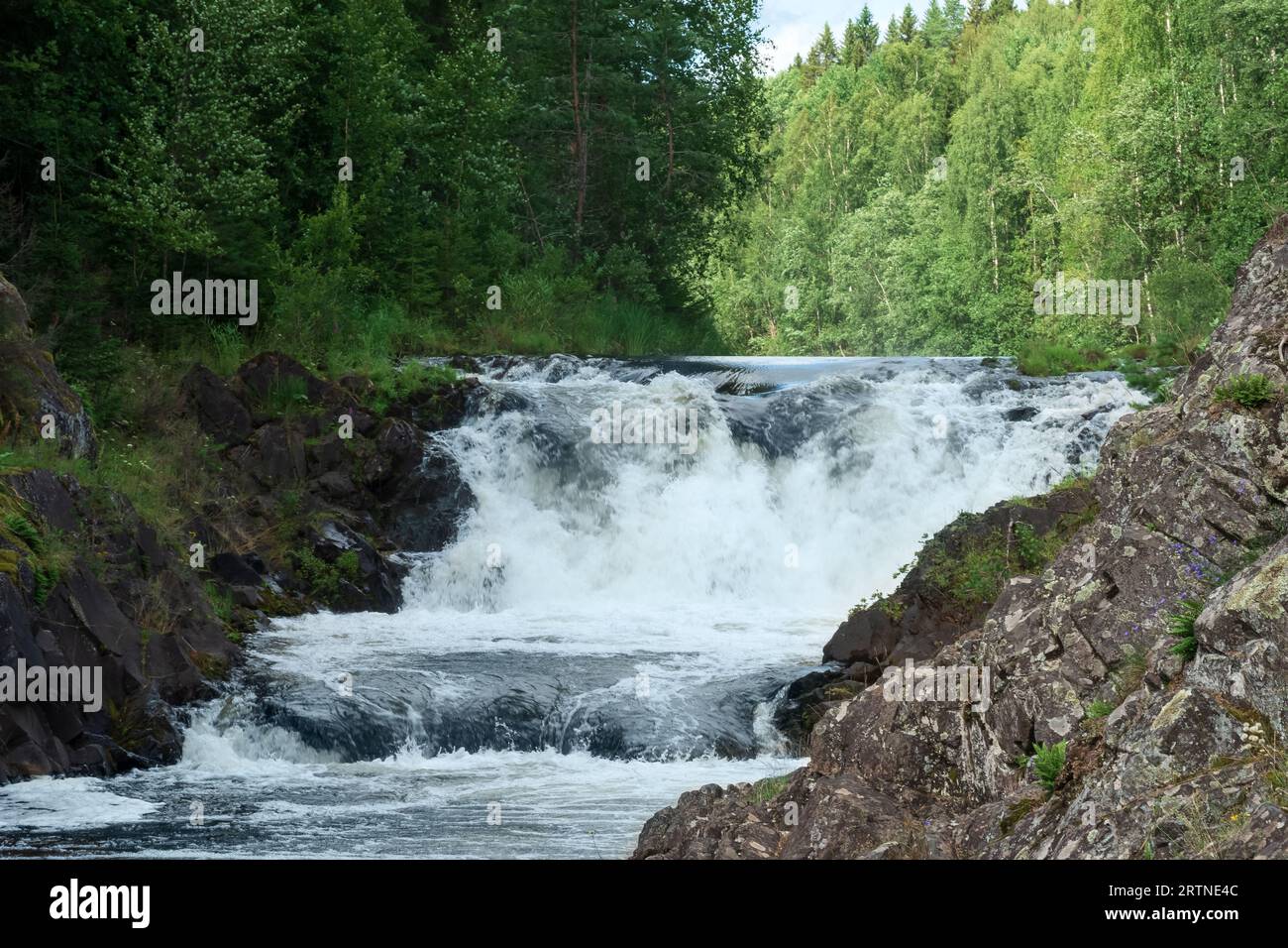 natural landscape with a clear waterfall on a forest river Stock Photo ...